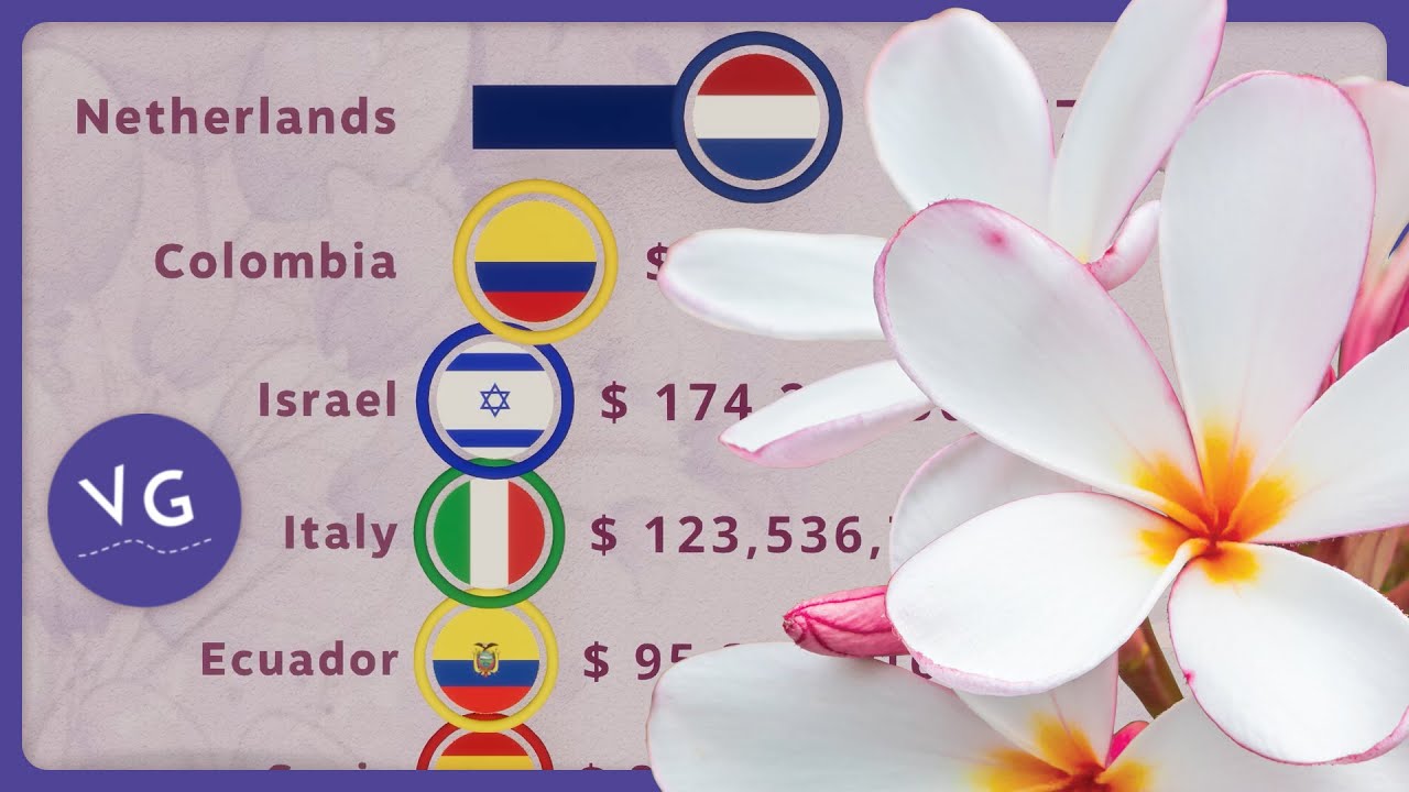 The Countries that Export the Most Flowers in the World - YouTube