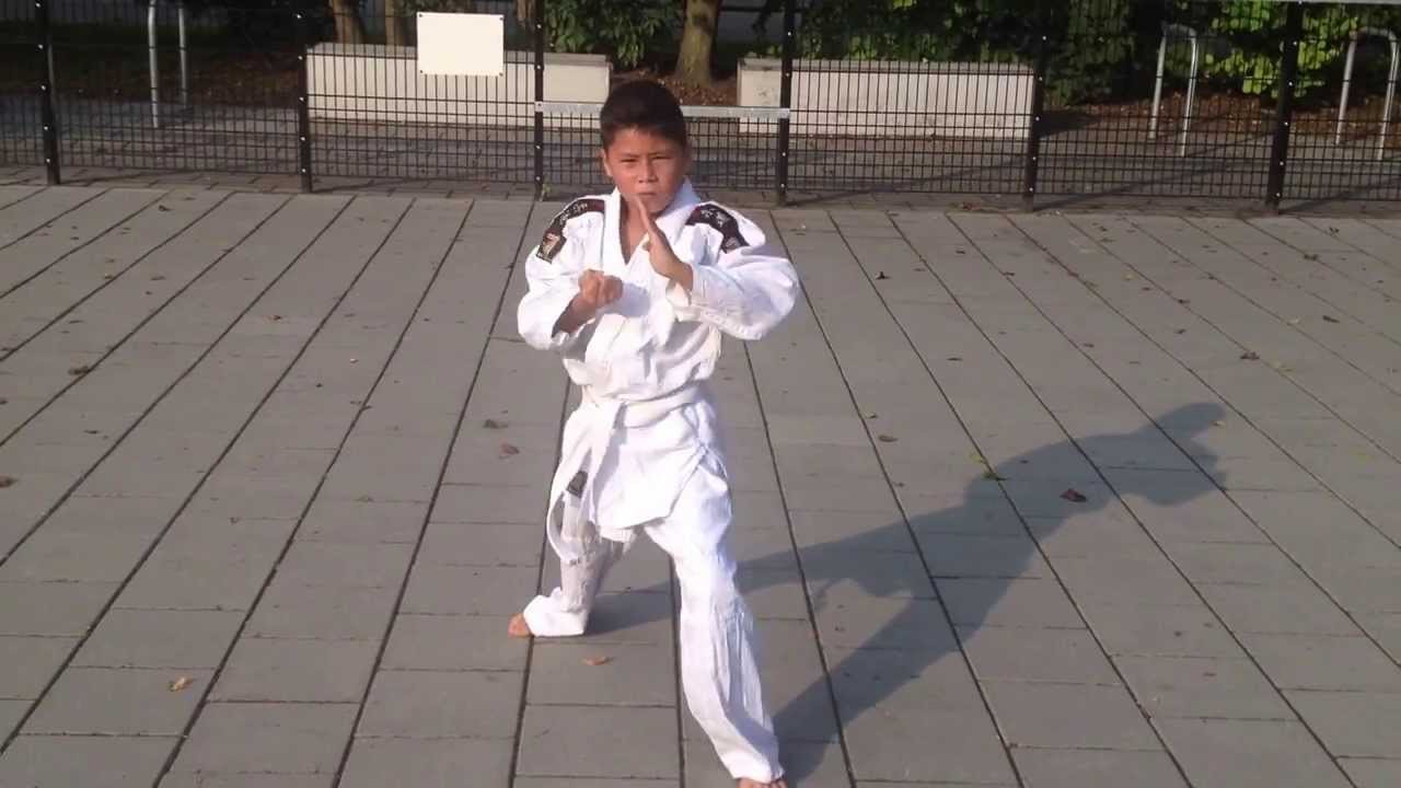 Kyokushin Pinan Kata Sono Go - YouTube