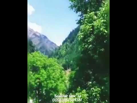Gogrii song