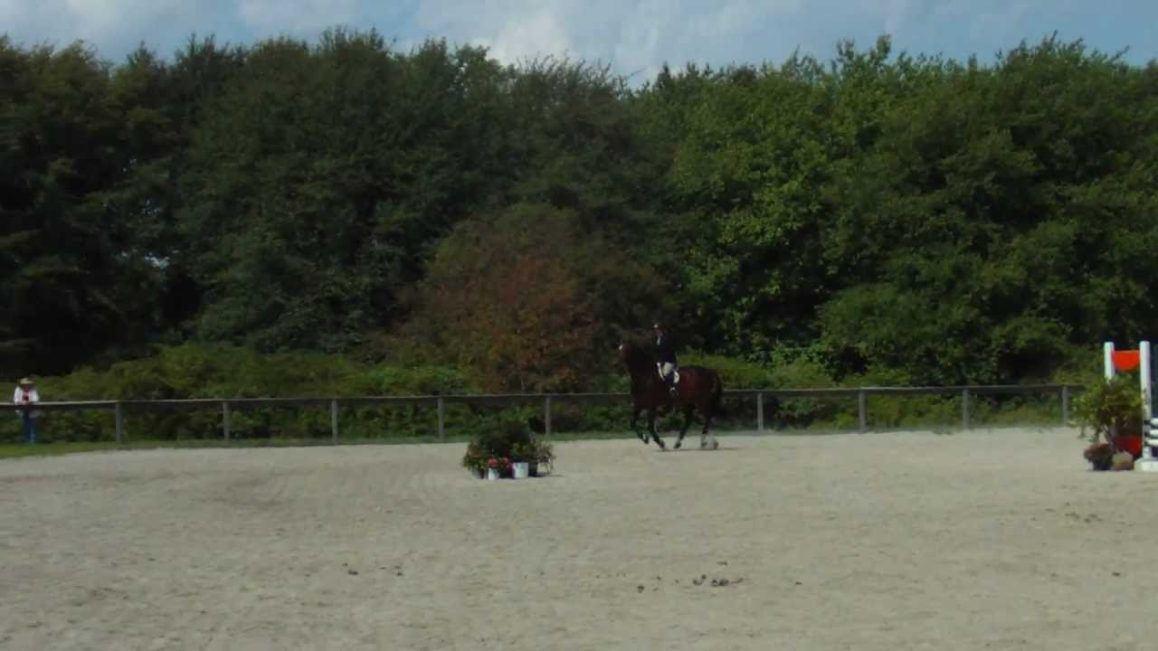 Cindy RIEF Adult Mini Medal Test 2012 - YouTube