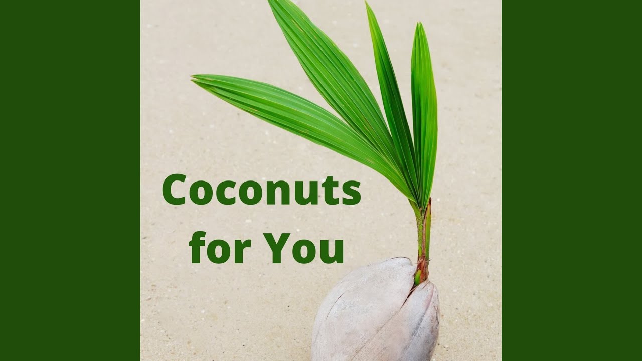 Coconuts for you - YouTube