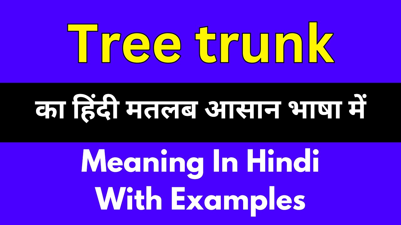Tree trunk meaning in Hindi/Tree trunk का अर्थ या मतलब क्या होता है ...