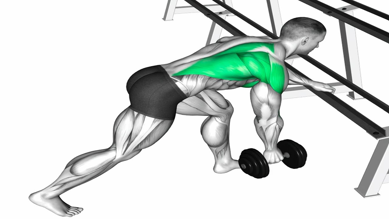 Complete Back Workout - YouTube