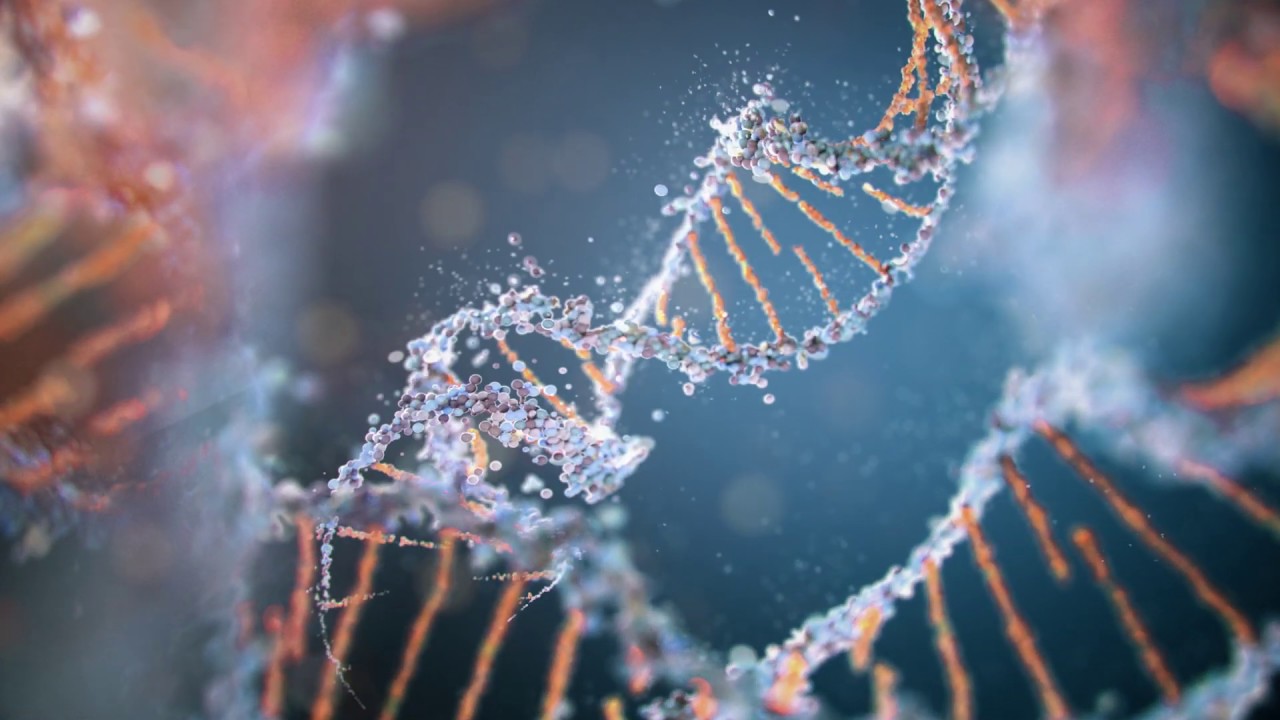 DNA growth - YouTube