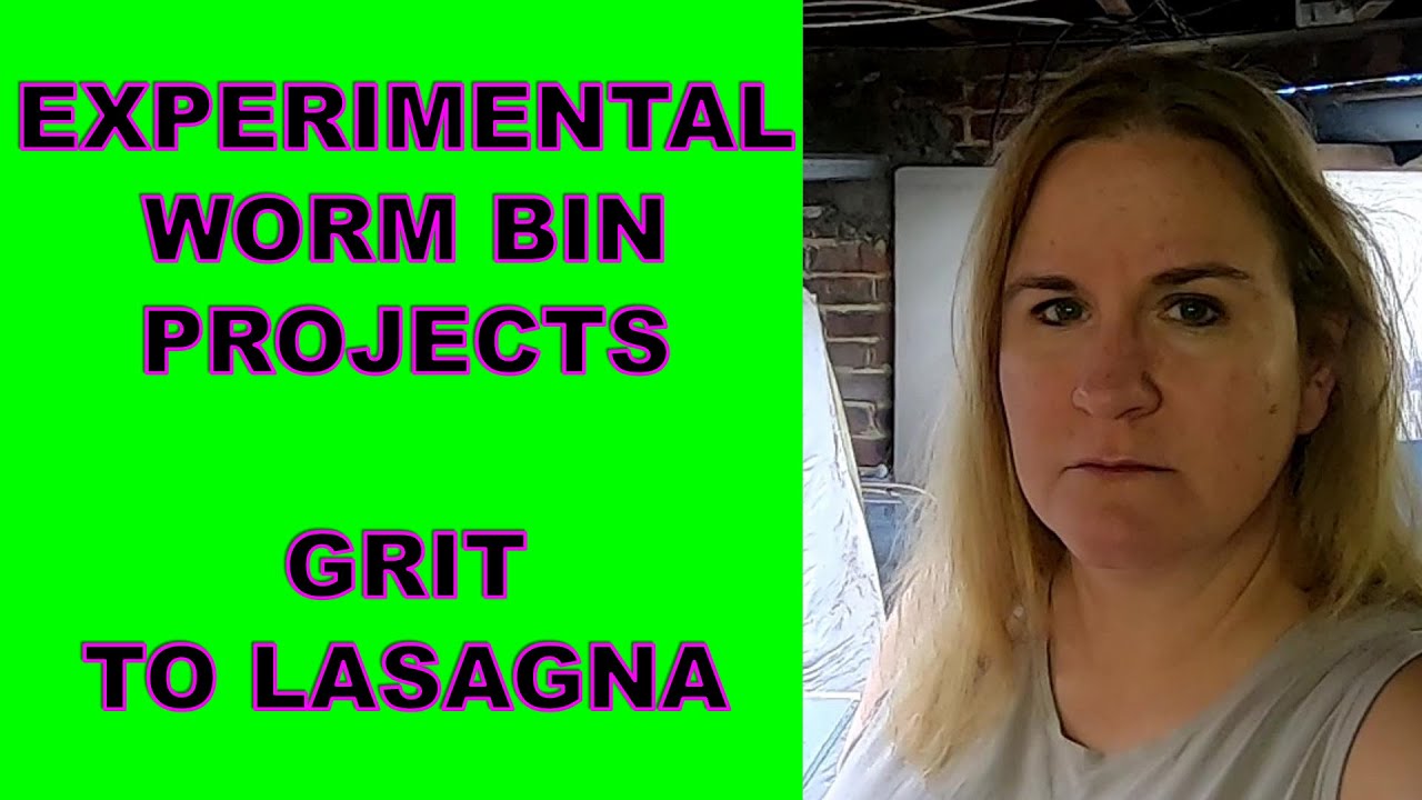 ALL MY WORM BIN PROJECTS - YouTube
