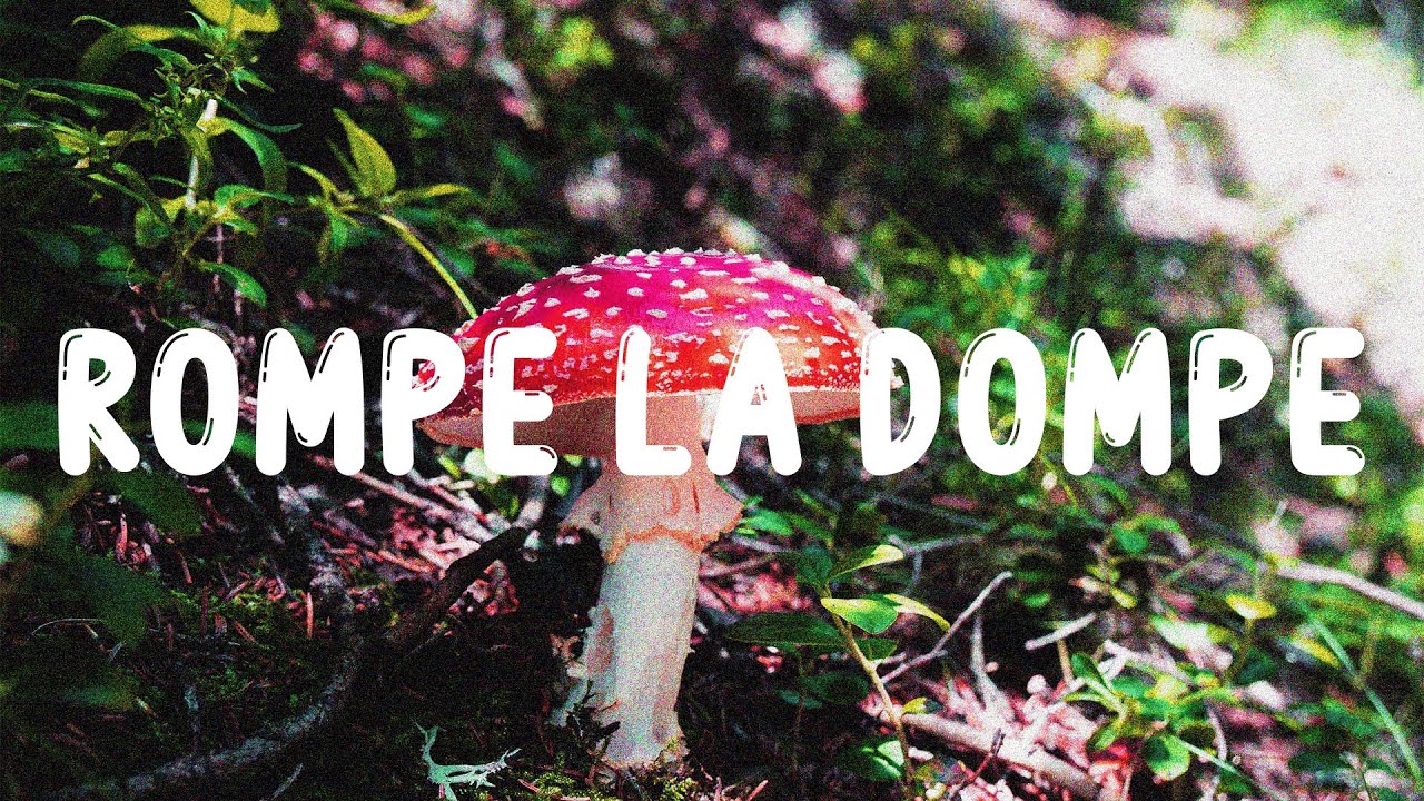 Rompe la dompe - Peso Pluma, Junior H, Oscar Maydon (Letra) - YouTube