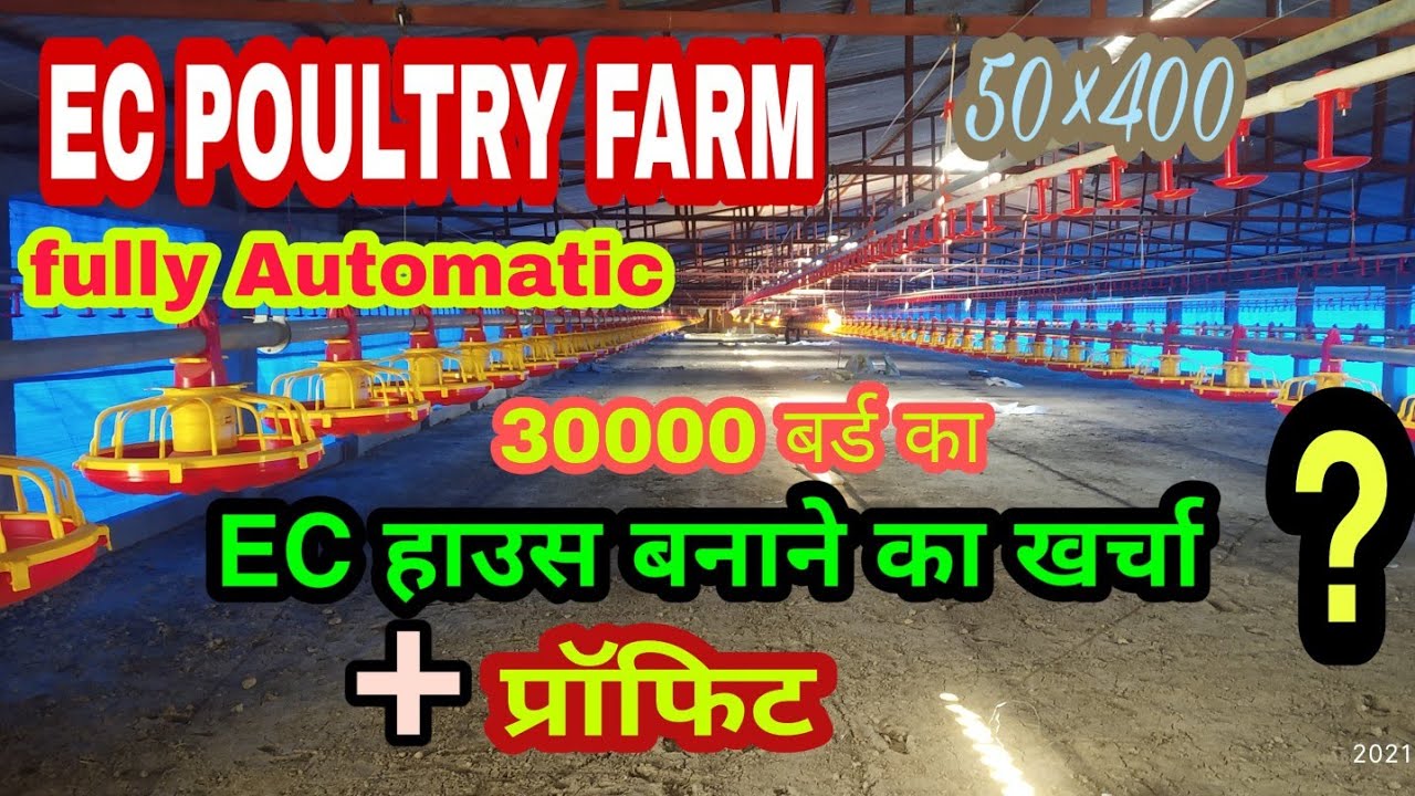 New poultry farm construction|EC poultry house| नया पोल्ट्री फार्म कैसे ...