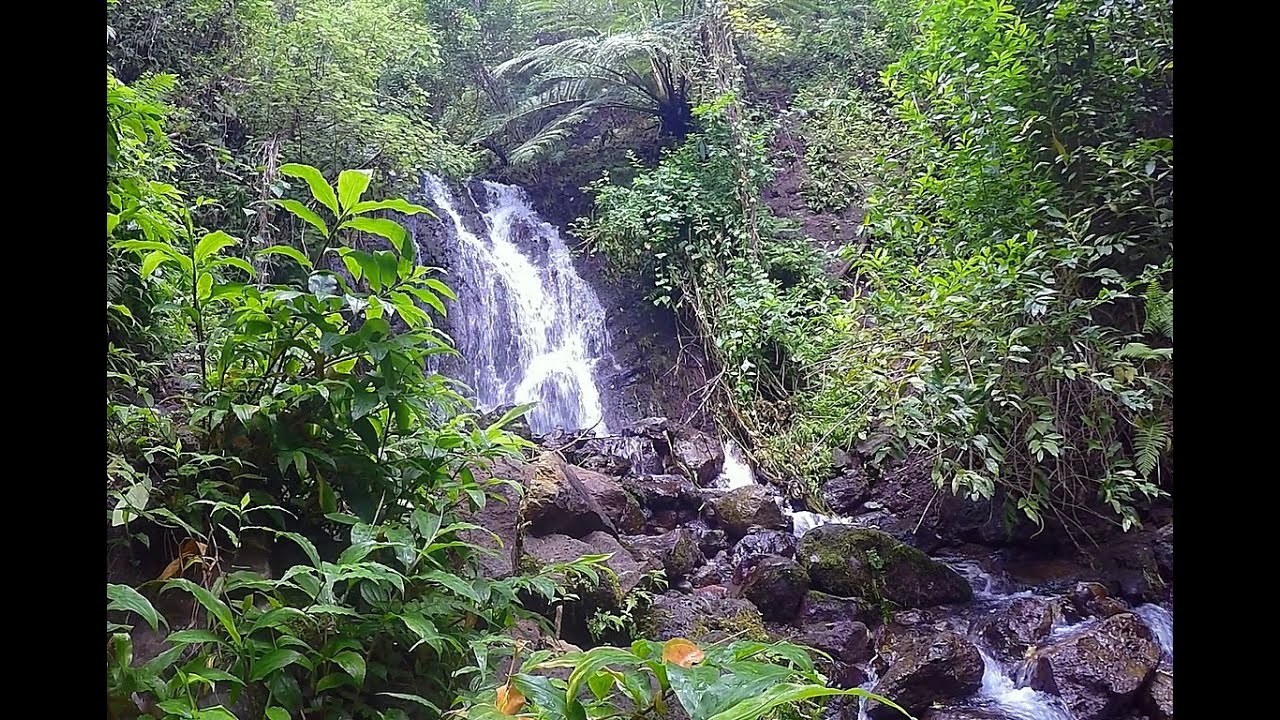 Hamama and Waihee Falls Hike, Oahu, Hawaii (GoPro 4 Silver) - YouTube