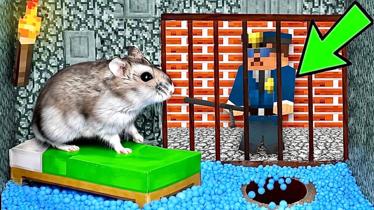 🐹ESCAPE MINECRAFT Hamster Maze with Traps 😱[OBSTACLE COURSE]😱 - YouTube