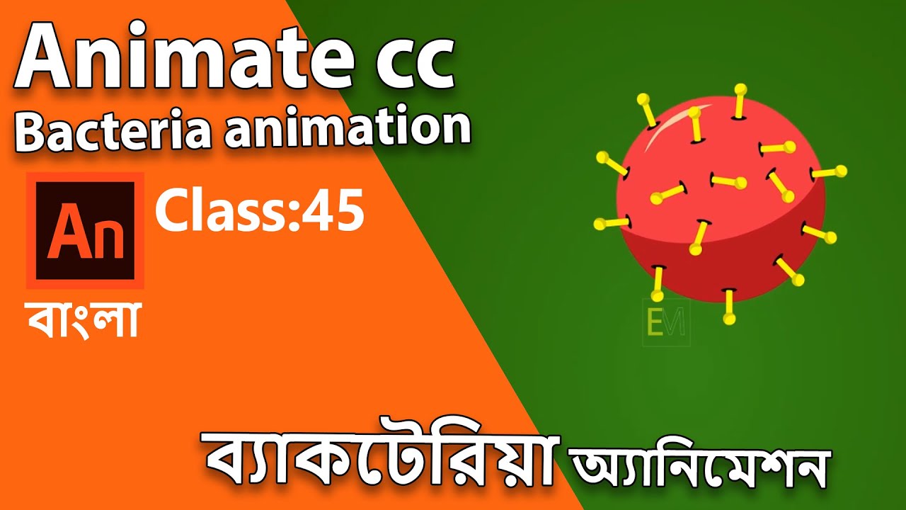 How to creat Bacteria animation | 2D Animation Tutorial | Class #45 ...