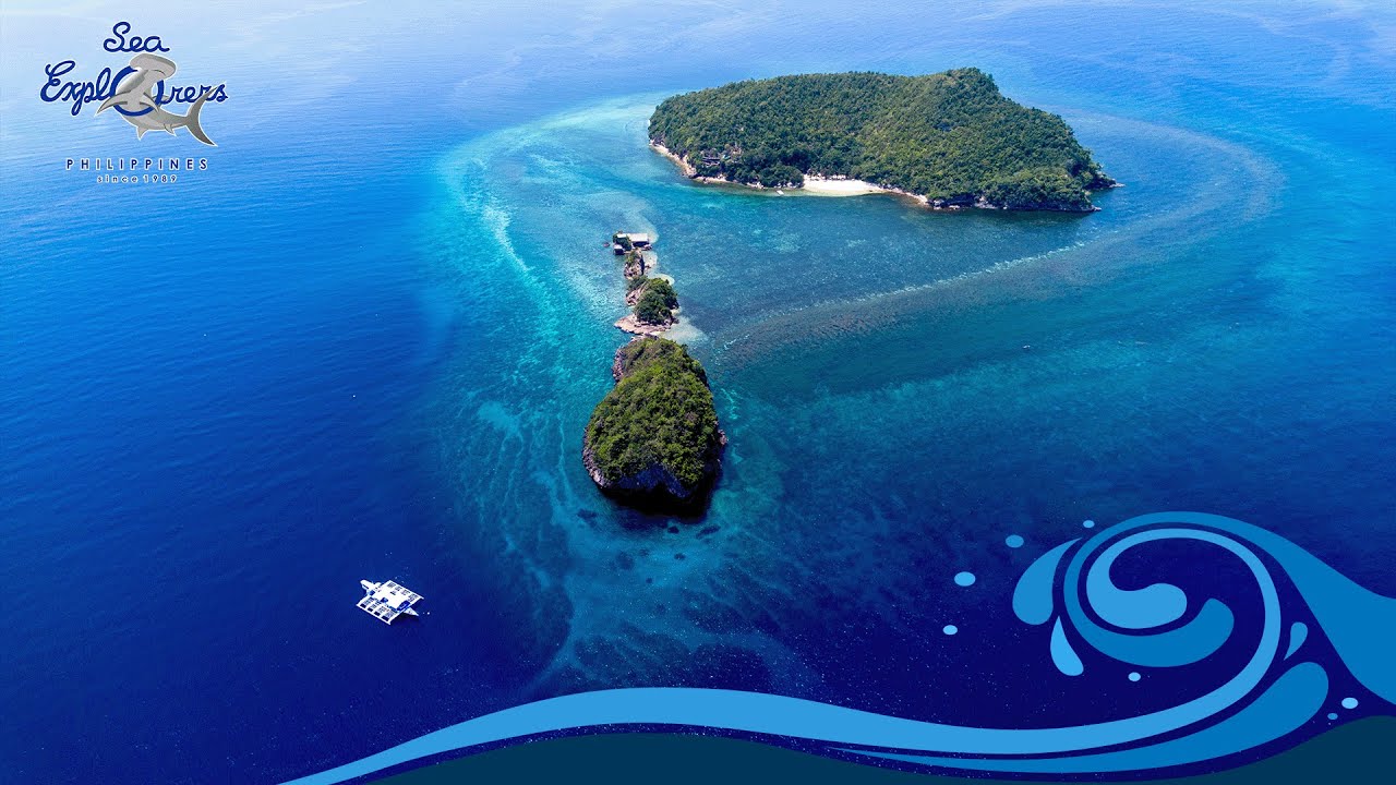 Sugar Beach Sipalay - Sea Explorers NEW Dive Location - YouTube