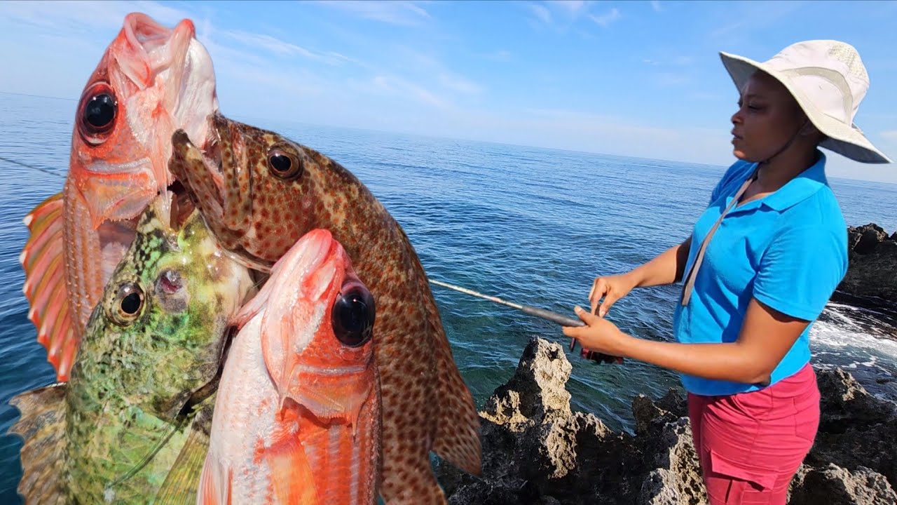 Reef Treasure Hunt! Hooking Squirrel Fish, Parrot Fish & Strawberry ...