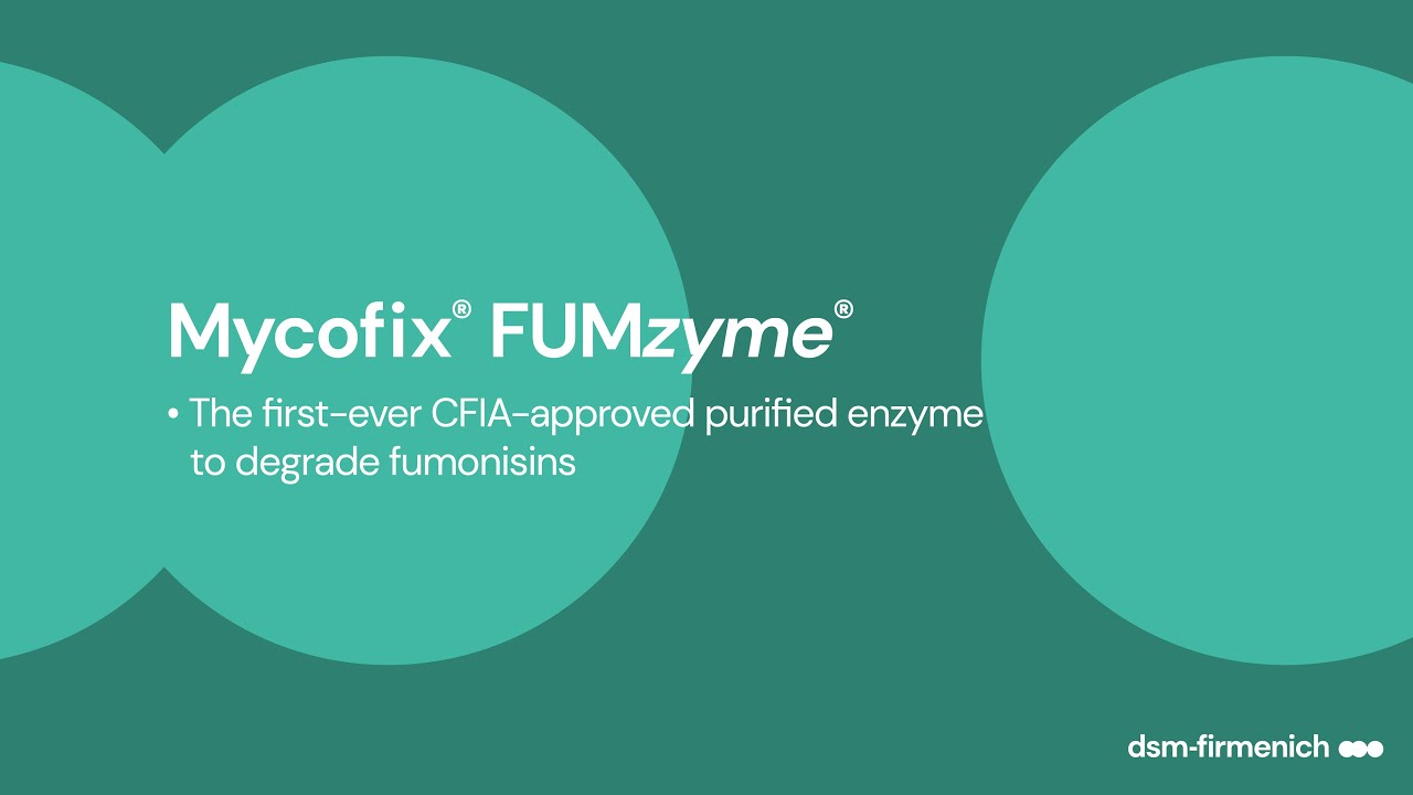 Mycofix® FUMzyme® Approved in Canada - YouTube