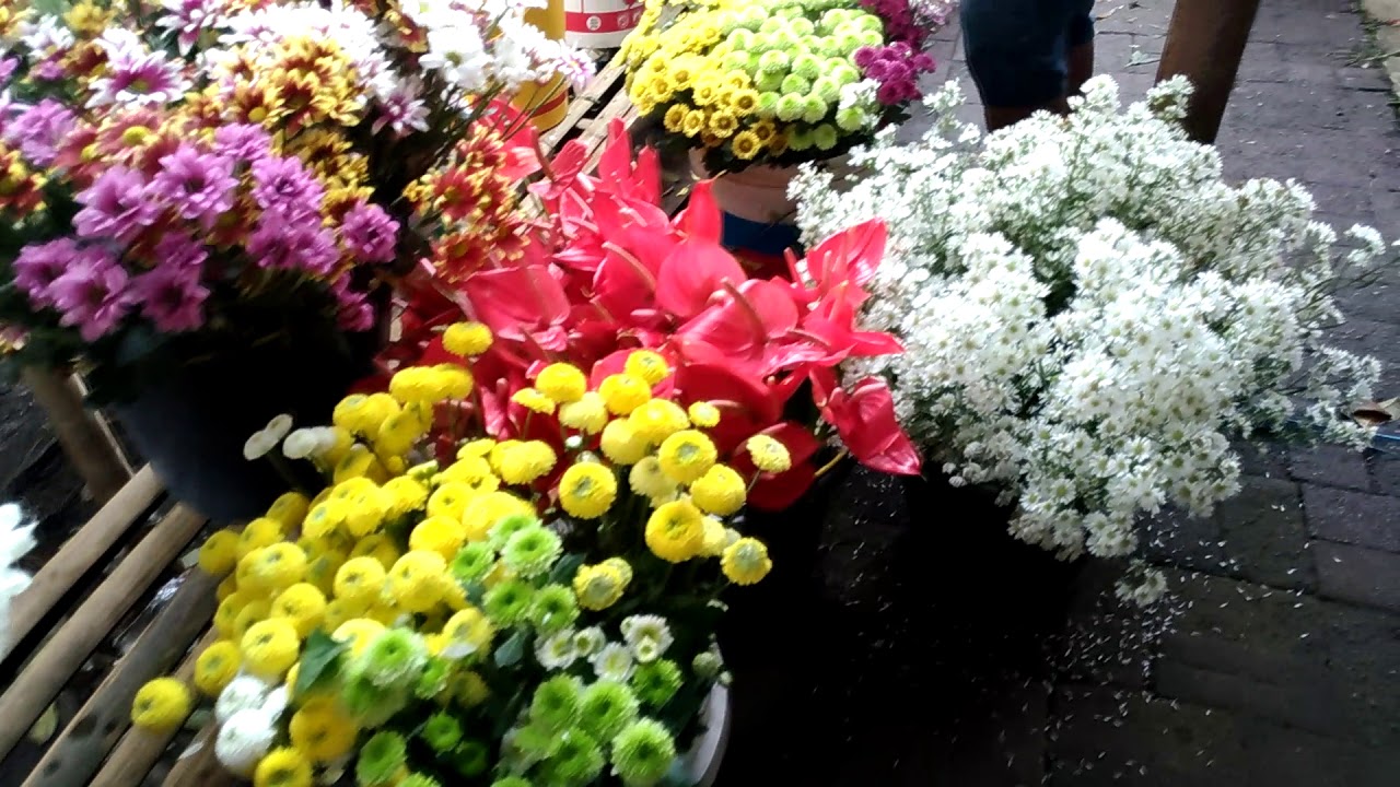 Pasar extreme tomohon - YouTube