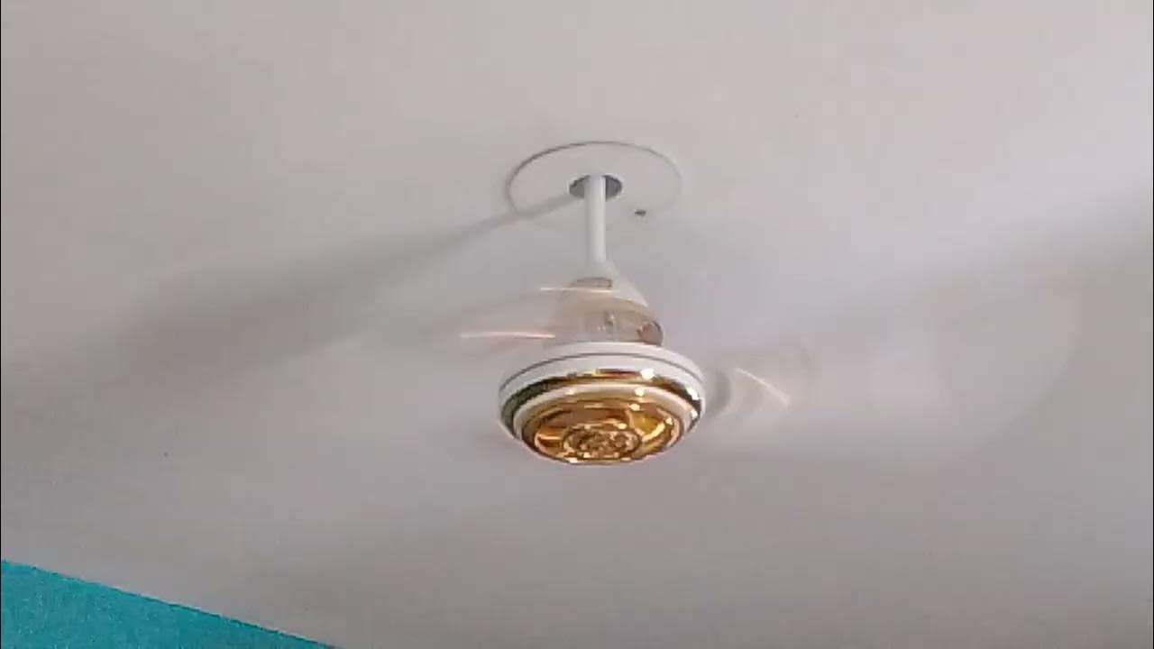 56' Prodip Celling Fans - YouTube