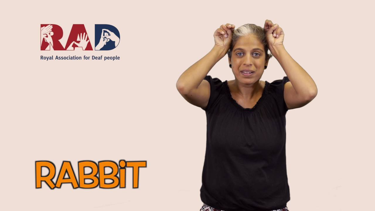 How to sign 'Rabbit' in British Sign Language (BSL) - YouTube