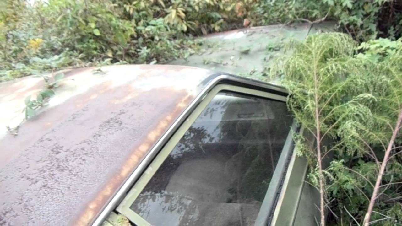 quick clips walking around Collier Motors AMC dealership - YouTube