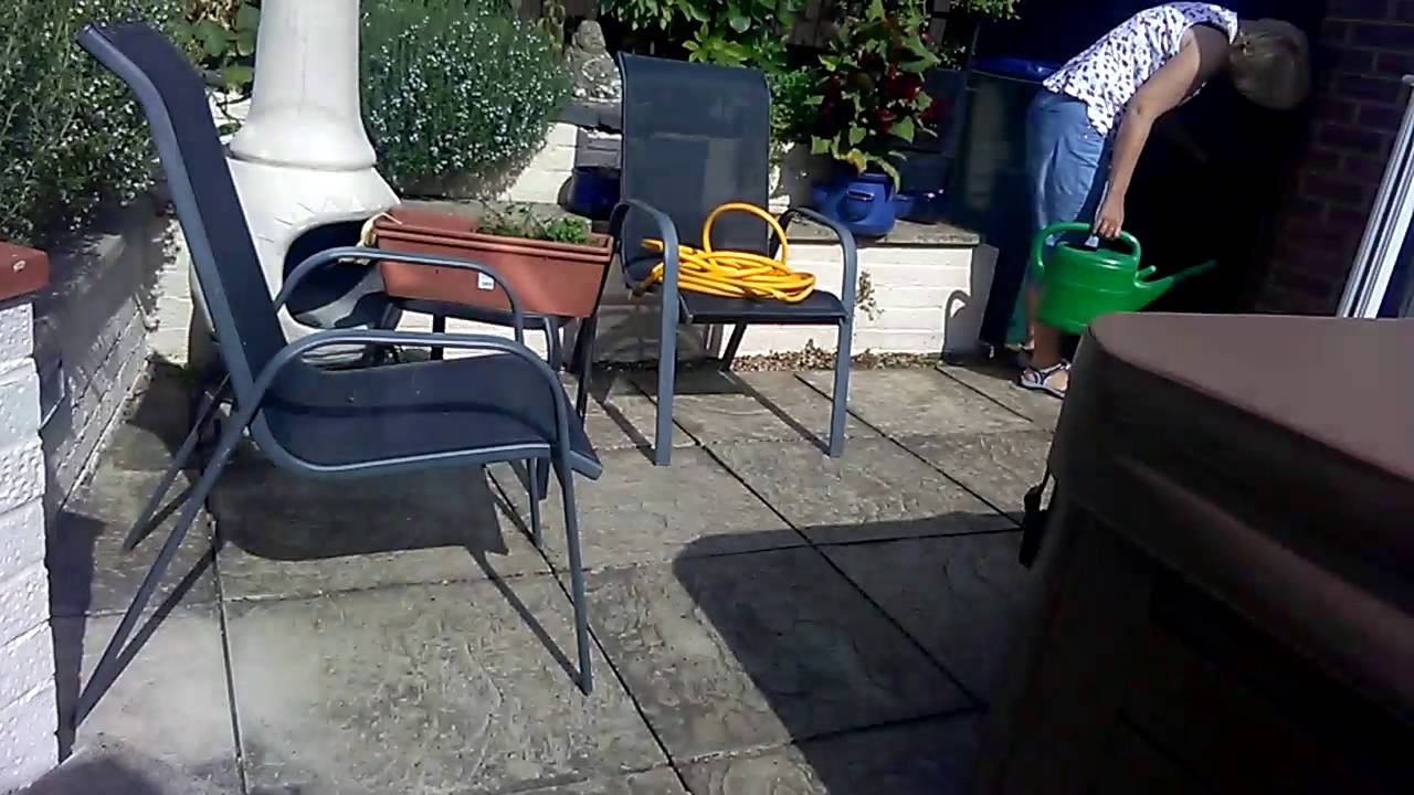 A nice day with Tigger and Benson - YouTube