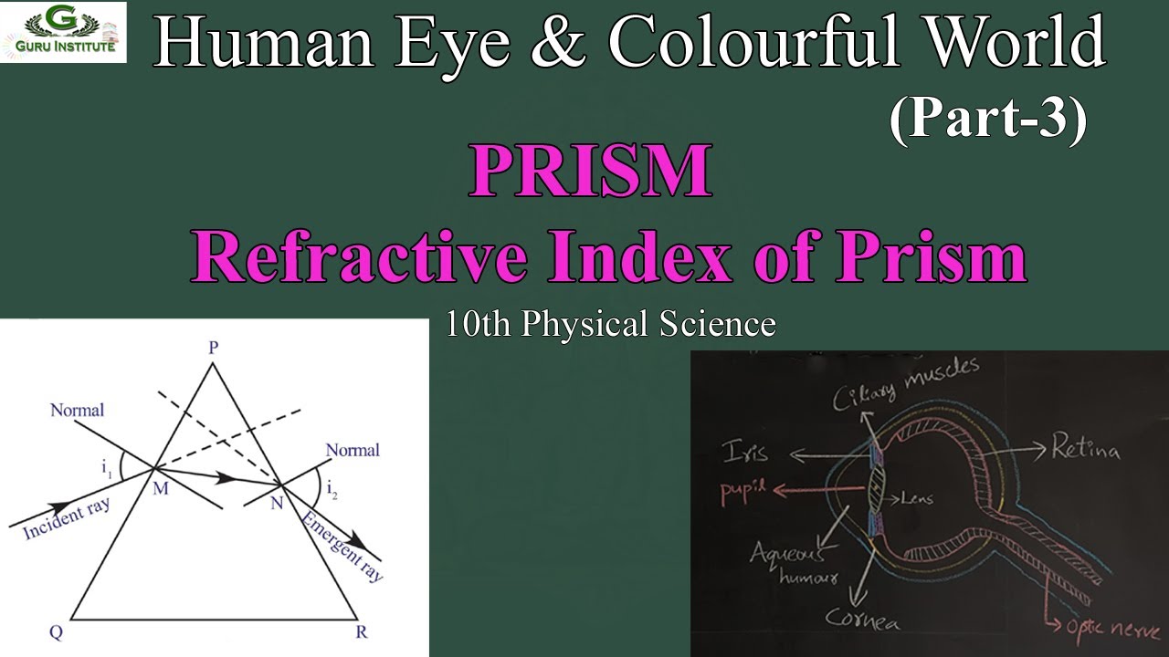 PRISM @ Human Eye & Colourful World Part-3 - YouTube