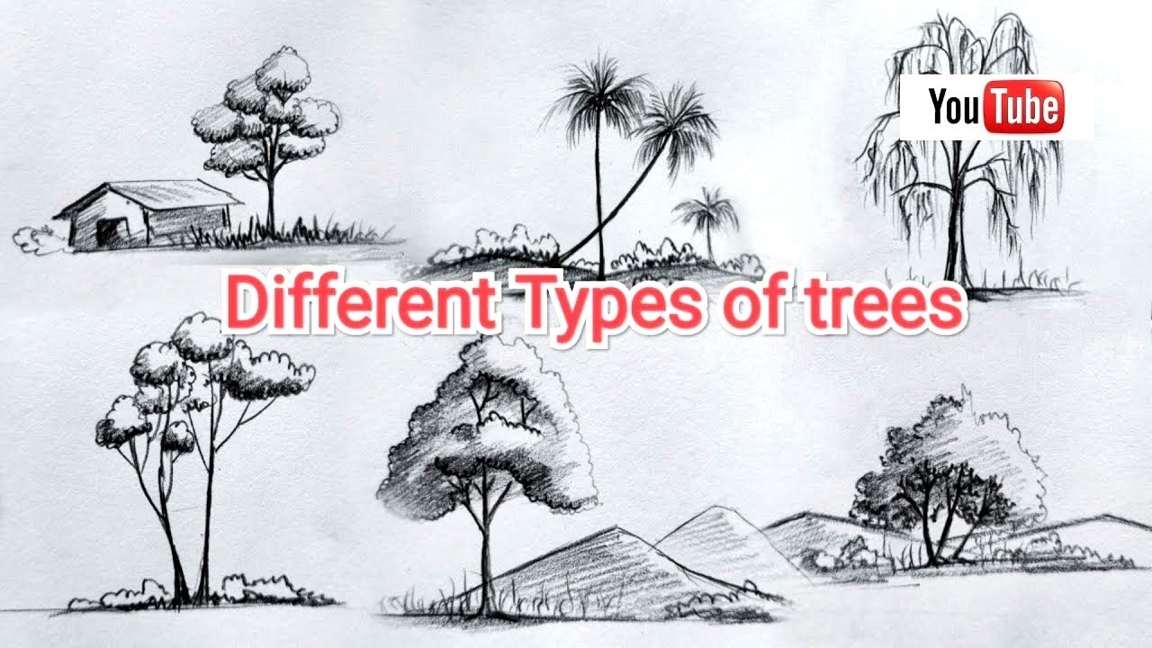 How to draw trees | Different types of trees drawing for beginners ...
