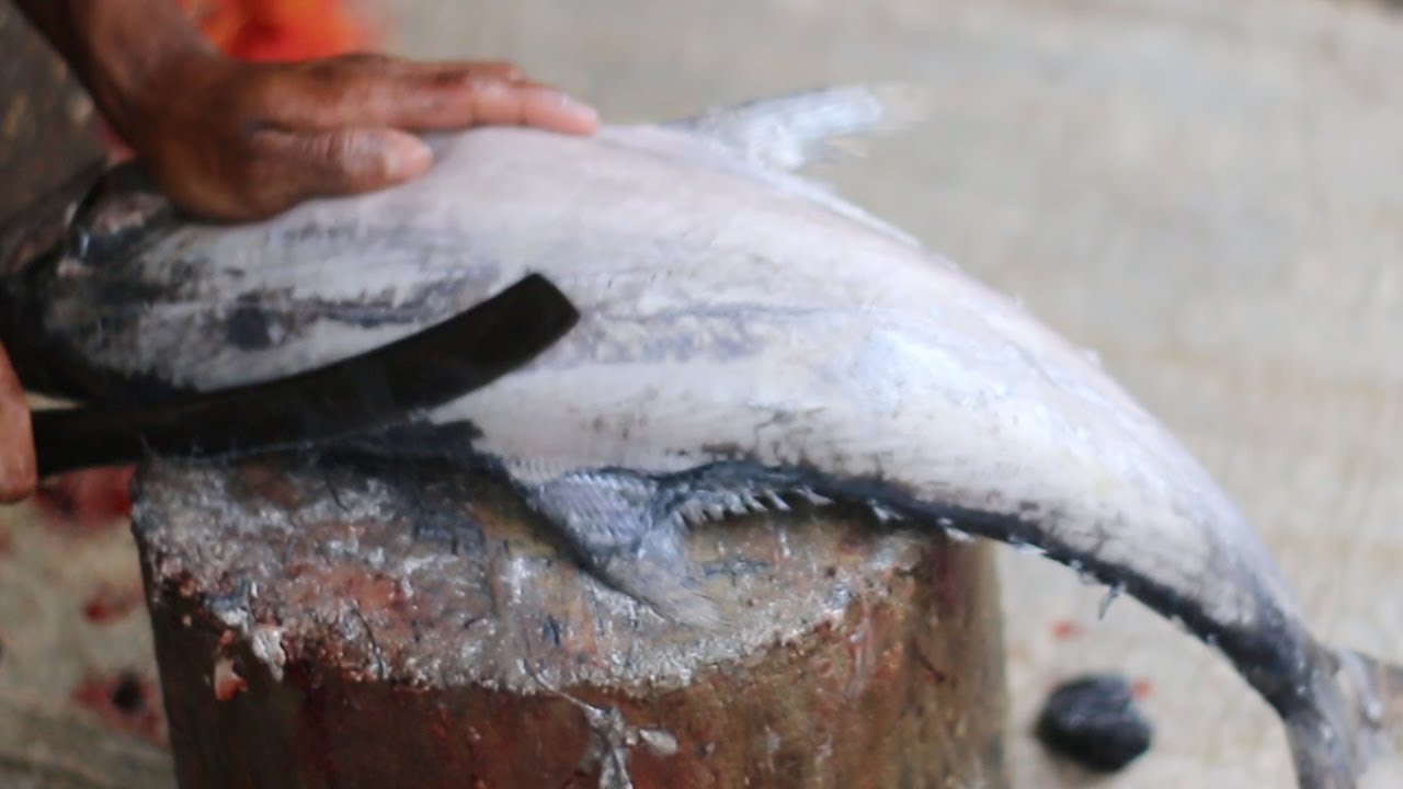 Live Big KING FISH CUTTING | Fisher Man || king fish cutting skills ...