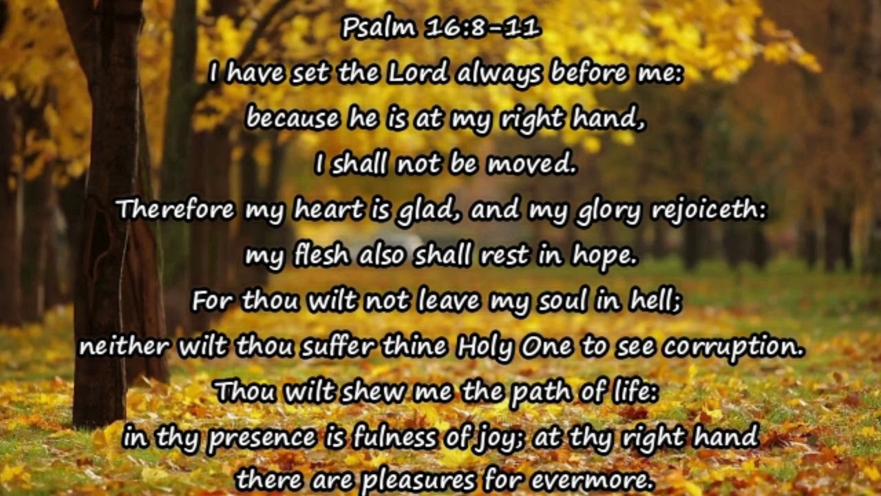 Psalm 16 8 11 Scripture Song KJV YouTube Music
