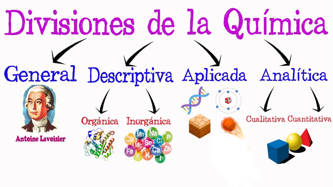 Las Ramas De Las Quimica Las Ramas De La Ciencia