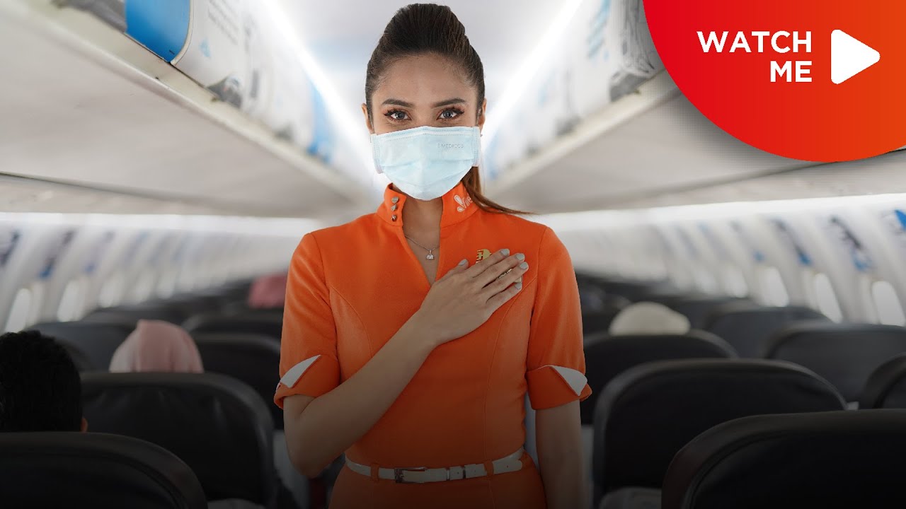 Fireflyz Air Stewardess