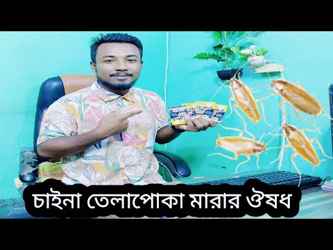 Chinese cockroach medicine | চায়না তেলাপোকা মারার ঔষধ | তেলাপোকা দুর ...