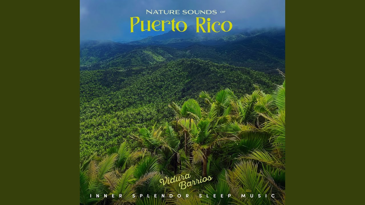 The Coqui Frogs and Cicadas of Puerto Rico - YouTube