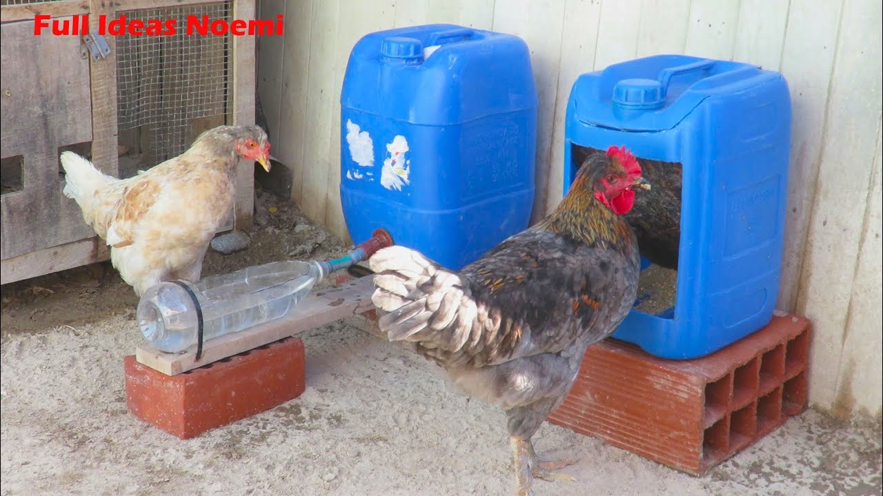 Bebedero De Pvc Para Gallinas Casero Comedero Y Bebedero Automático
