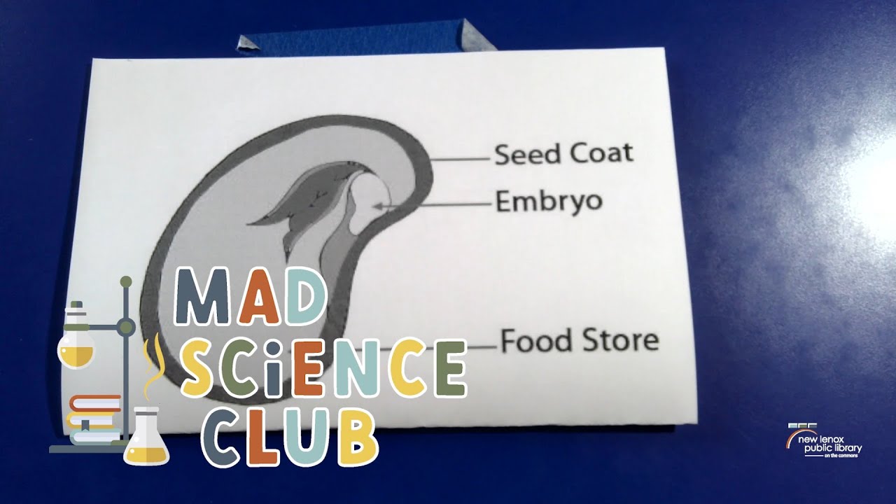 Grow a Little Sprout House with Mad Science Club - YouTube
