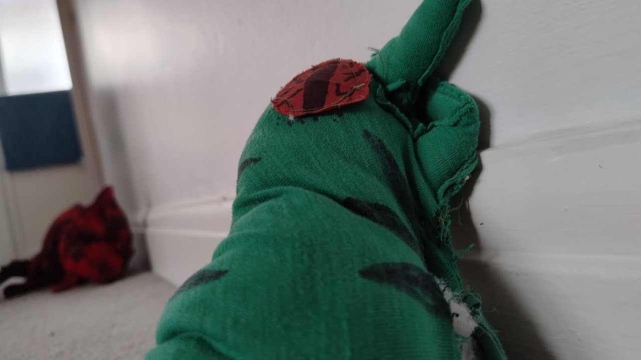 squiggly meat's ratis ratis? - YouTube