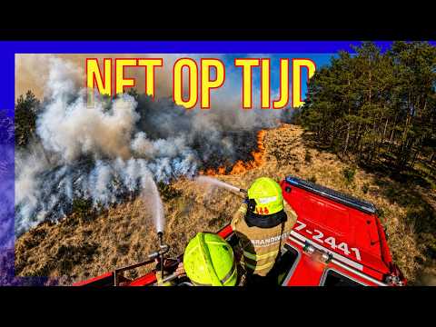 🔥 Ede bölgesindeki büyük doğa yangını… alevler ormana ulaşmak üzereydi 😱🌲🚒