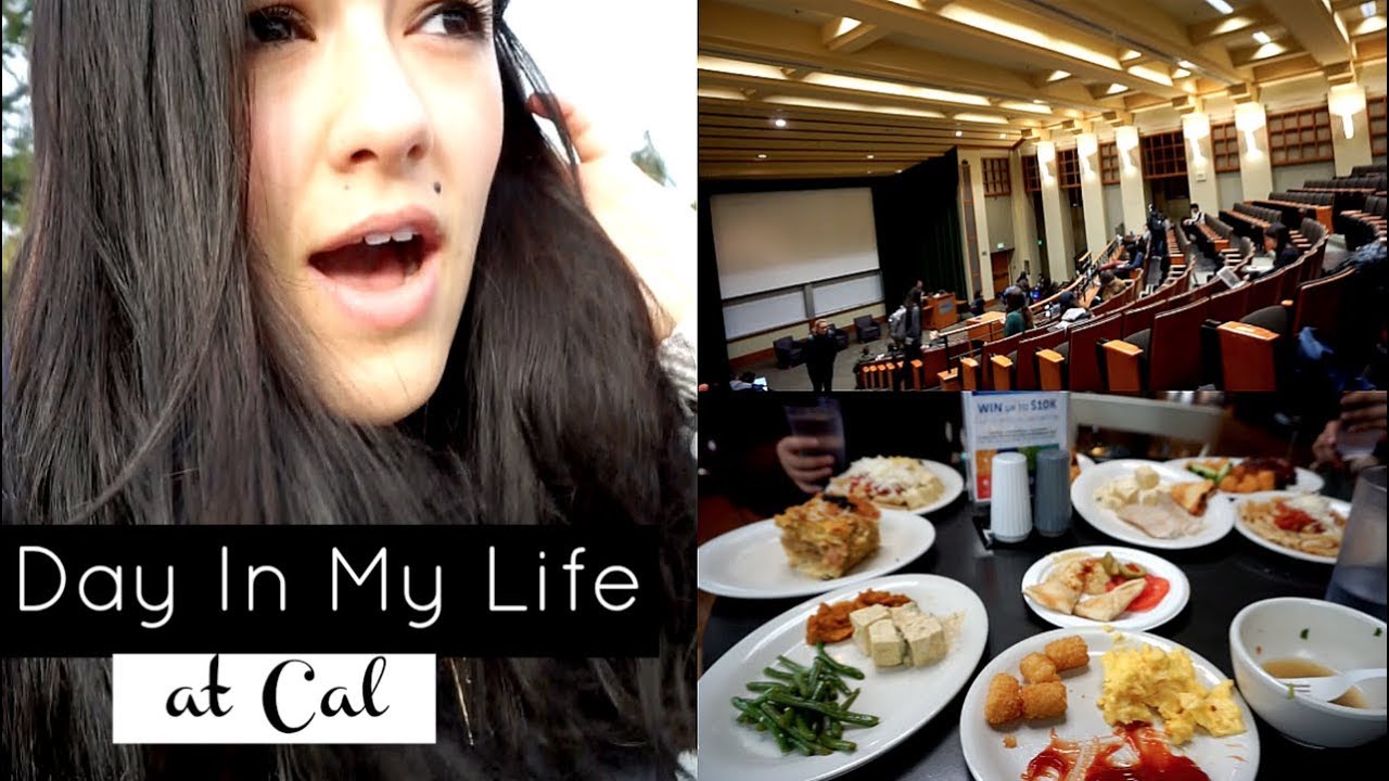 Day in my life as a UC Berkeley Student - YouTube