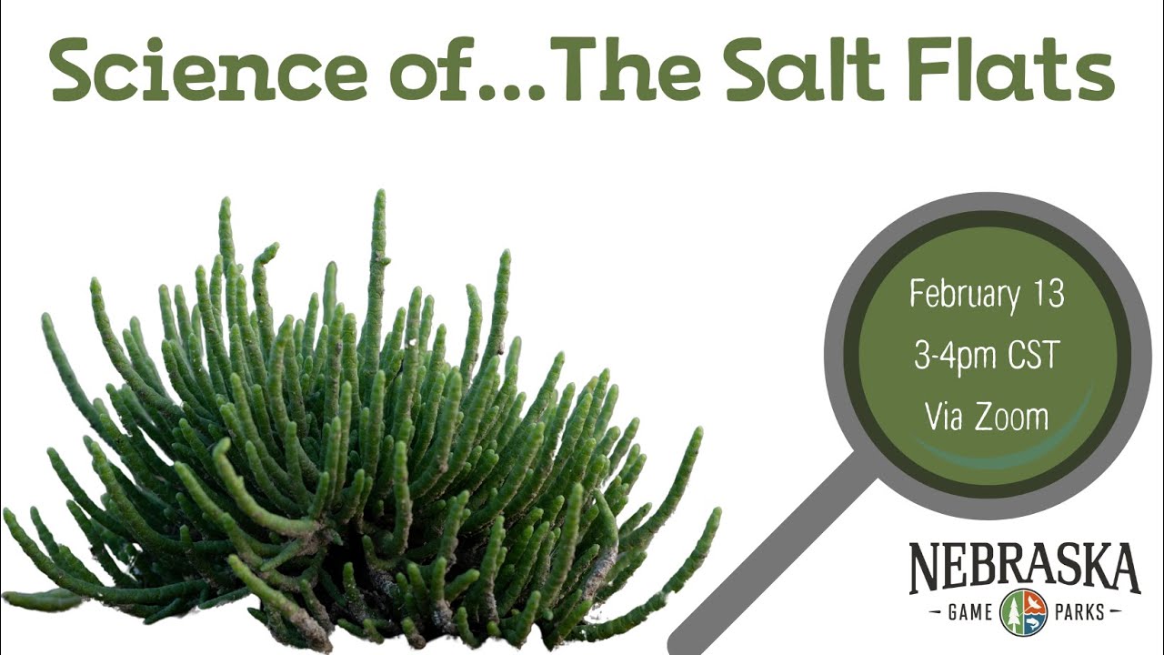 The Science of...The Salt Flats - YouTube
