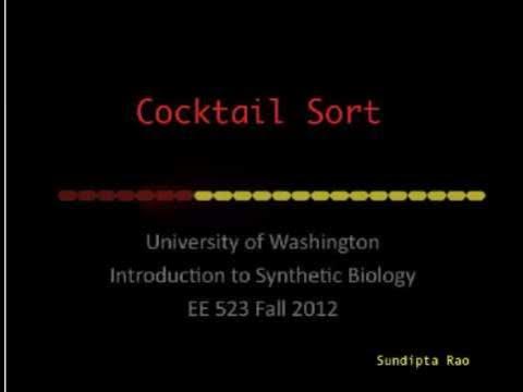 Cocktail Sort - YouTube