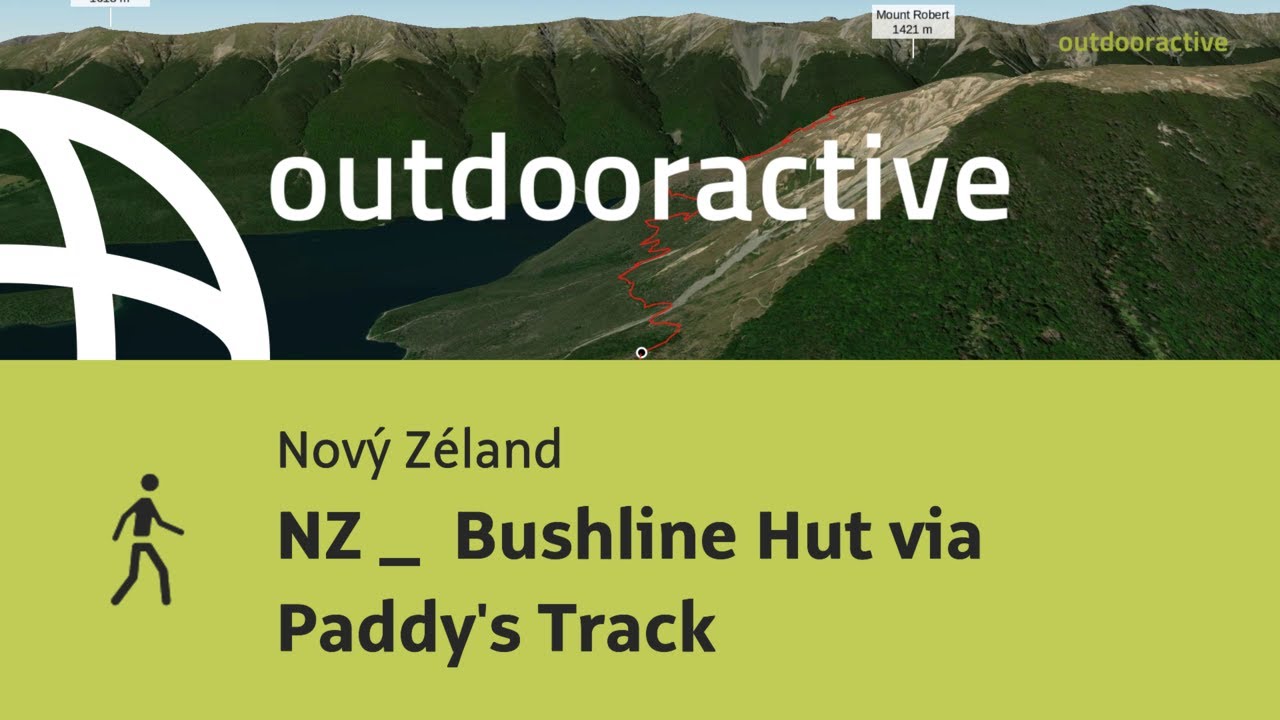 NZ _ Bushline Hut via Paddy's Track - YouTube