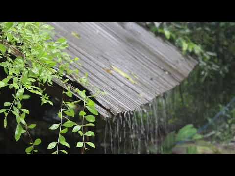 Sağanak |  Çinko Çatıya Vuran Yağmur sesi     &     Heavy | The Sound of Rain Hitting The Zinc Roof