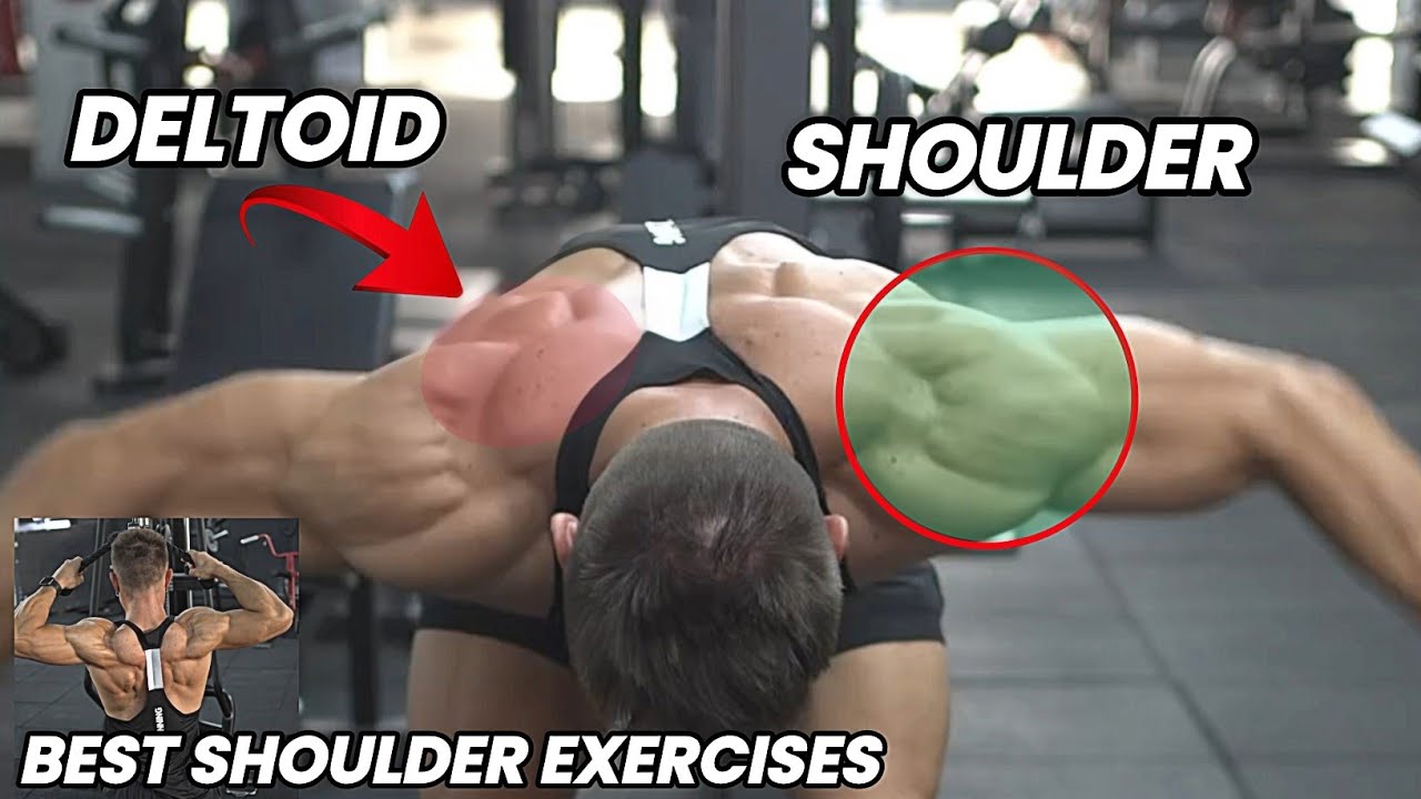 Top Complete Shoulder Exercises To Build Big Shoulder & Deltoid ...