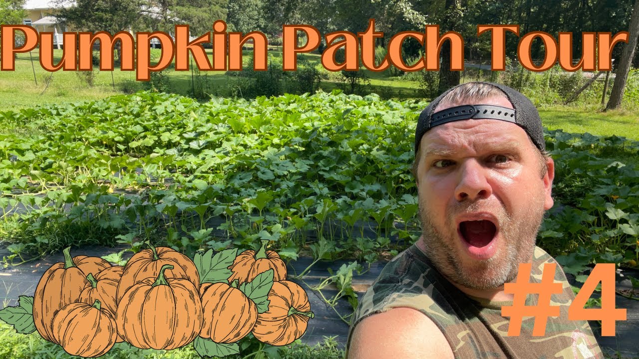 Pumpkin Patch Tour // THEY SOOO BIG - YouTube