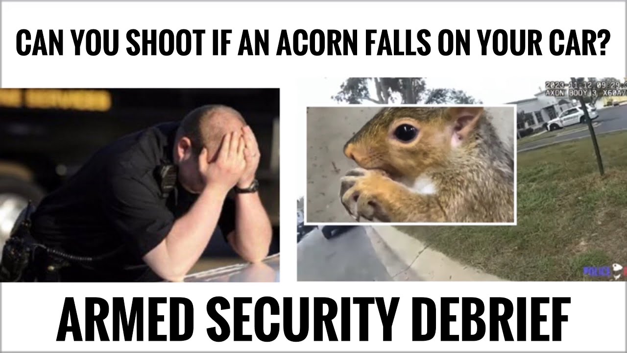 Acorn Falls on Deputy’s Car in Florida - Private Security Tactical ...