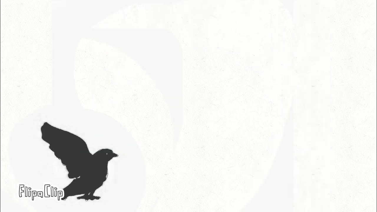 Flying Bird - YouTube