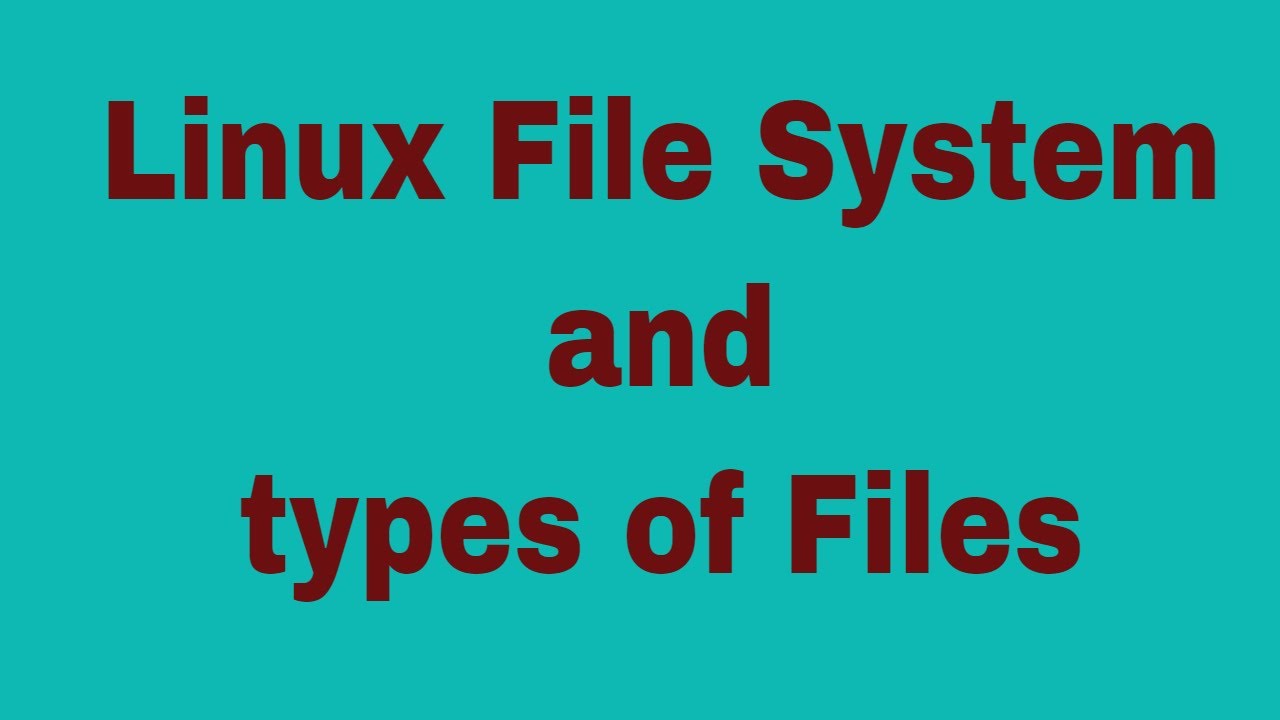 Linux File System Ans Types Of Files File System Linux Programming 8872