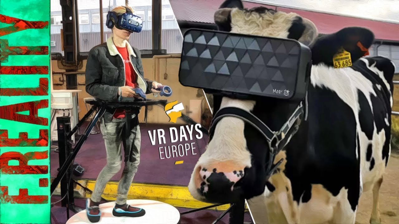 FReality Podcast - VR Headset for Cows, Xbox Gives VR Hard Pass & Varjo ...