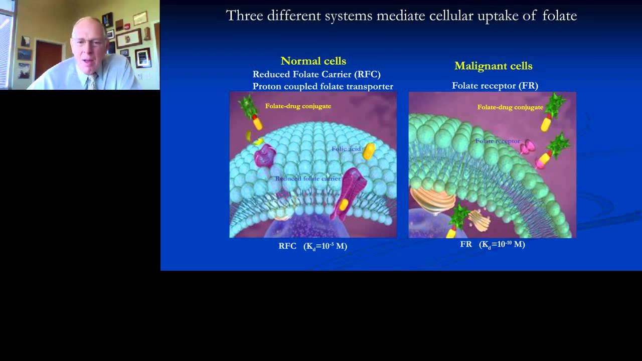 Philip Low - Ligand Targeted Therapies for Cancer and Autoimmune ...