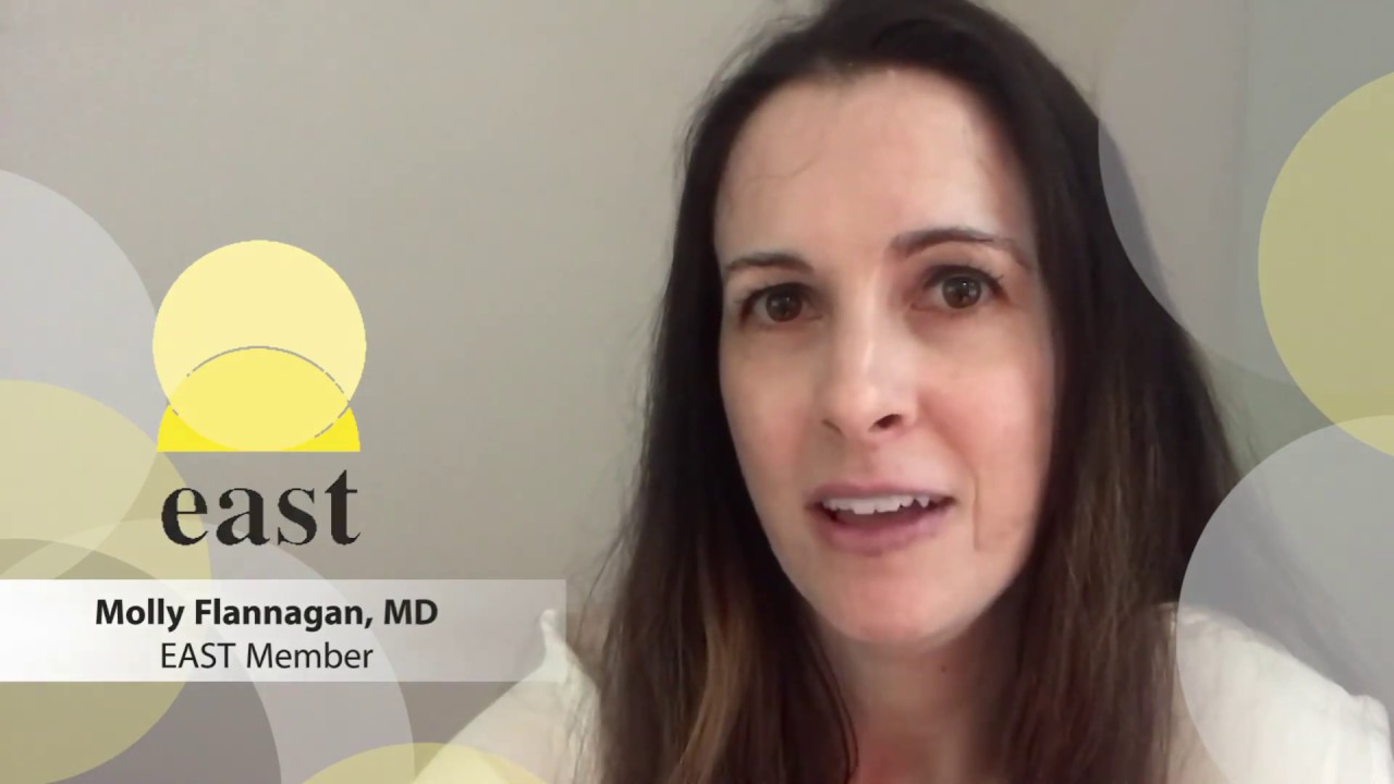 EAST Speakers Bureau with Dr. Molly Flannagan - YouTube