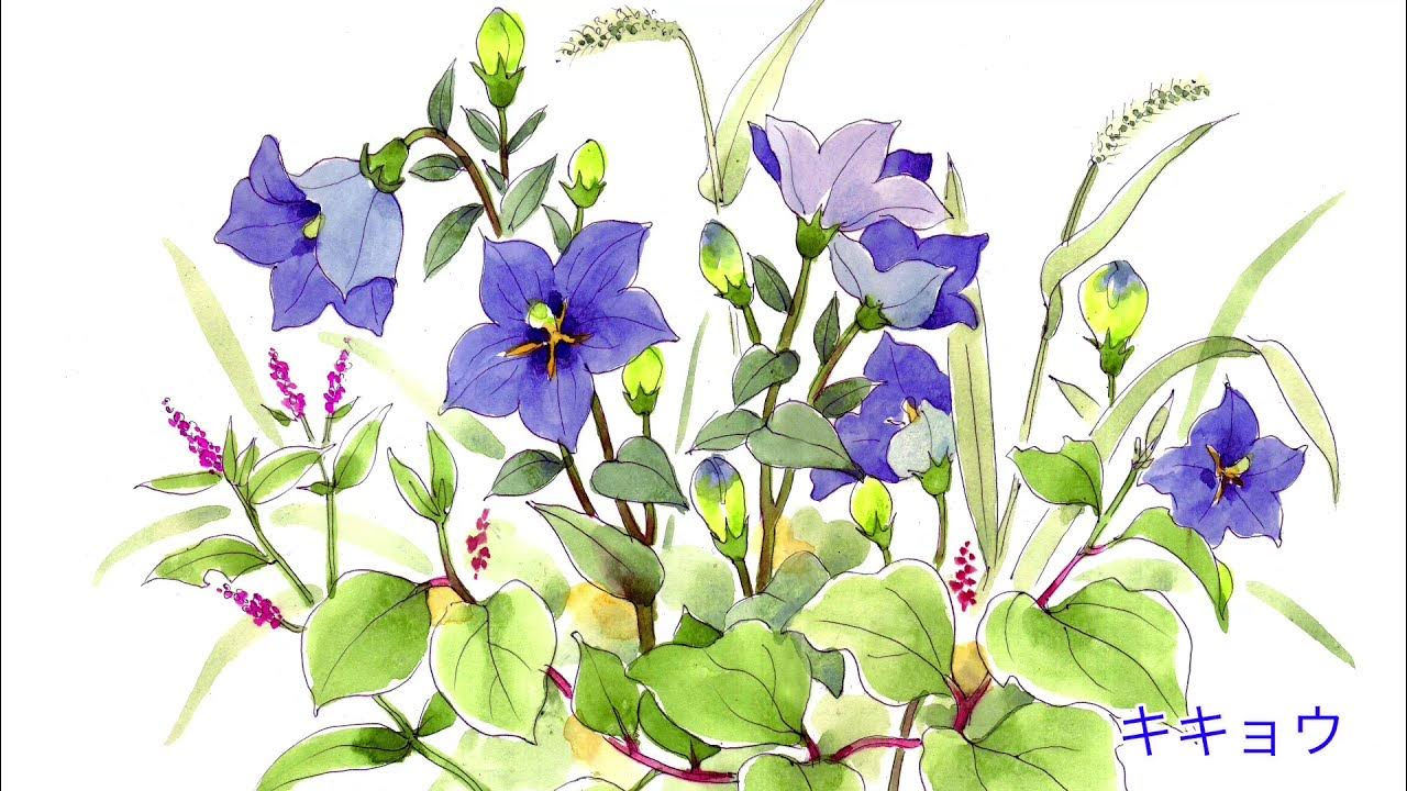 秋の野の花スケッチ Youtube