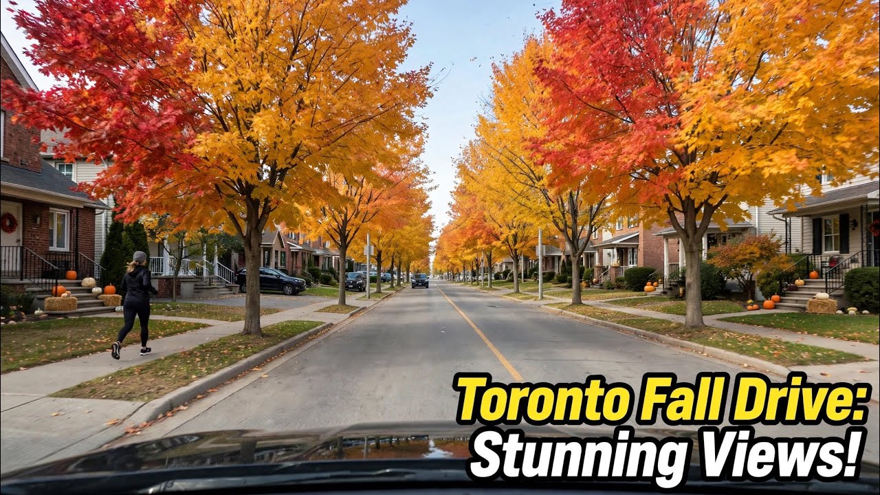 Driving Toronto Streets in Fall: A Colorful Journey - YouTube