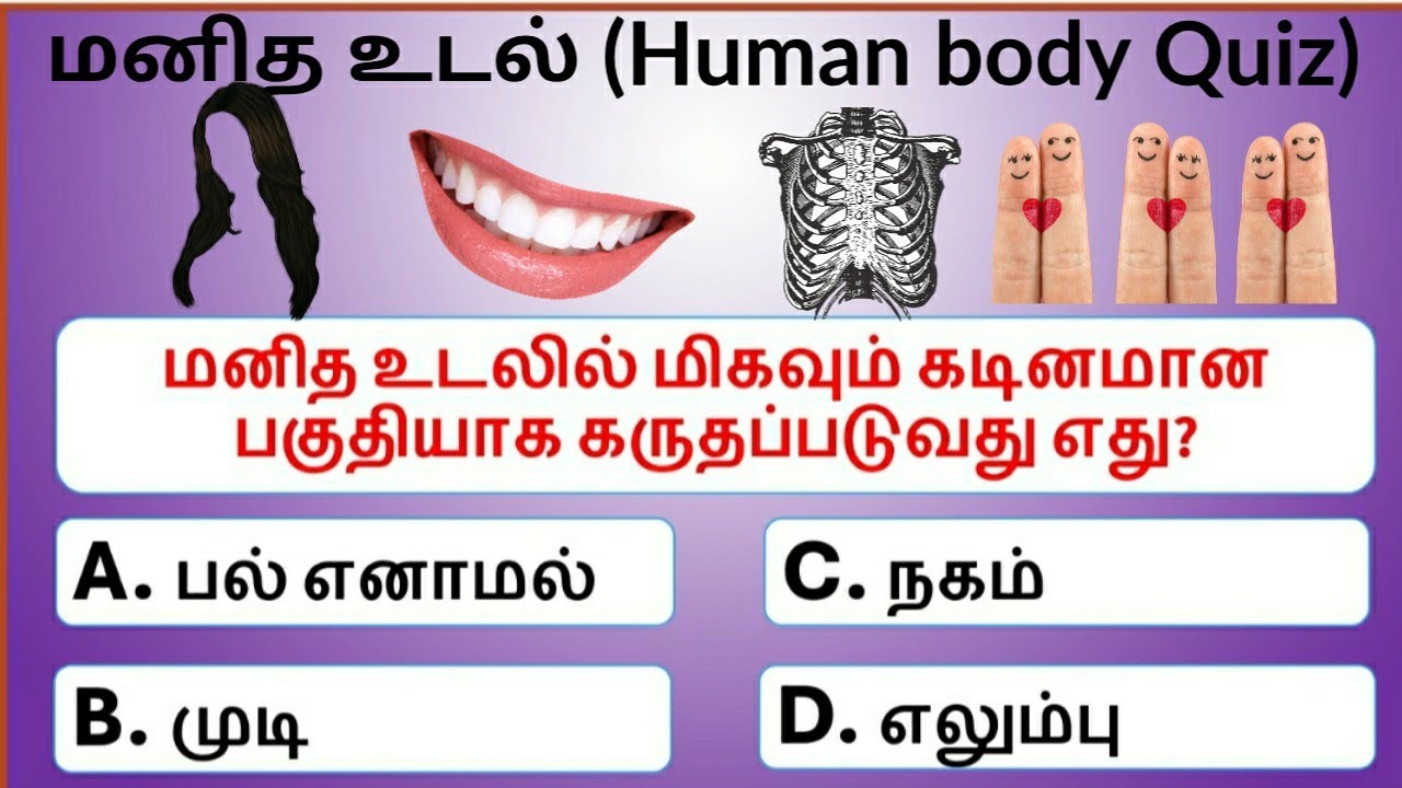 Interesting General Knowledge Gk In Tamil Human Body General interesting-general-knowledge-gk-in-tamil-human-body-general